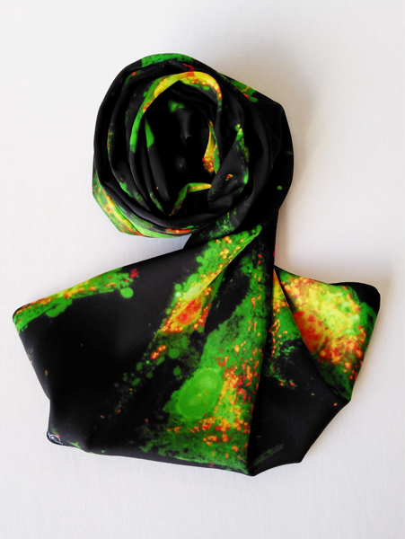 Fibroblast Scarf Scientific Gift Biology Cell Microscopy
